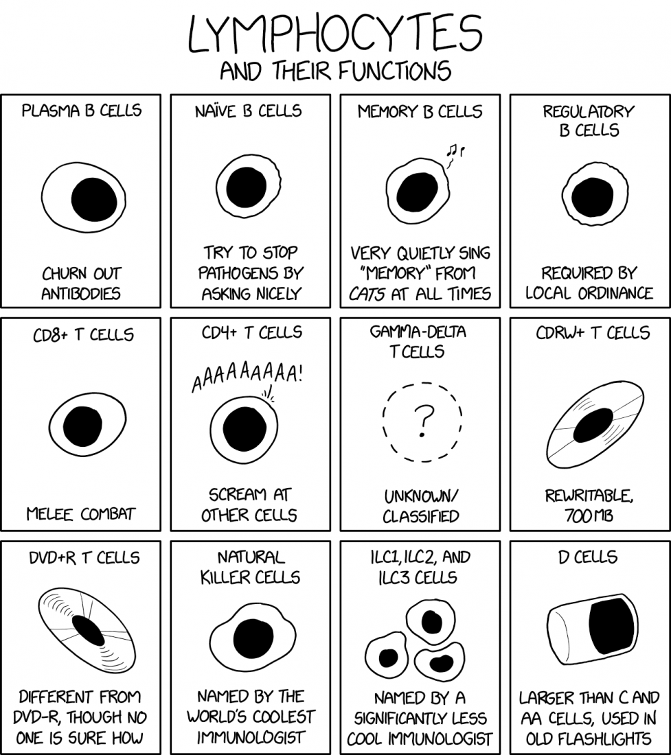 2749: Lymphocytes - explain xkcd